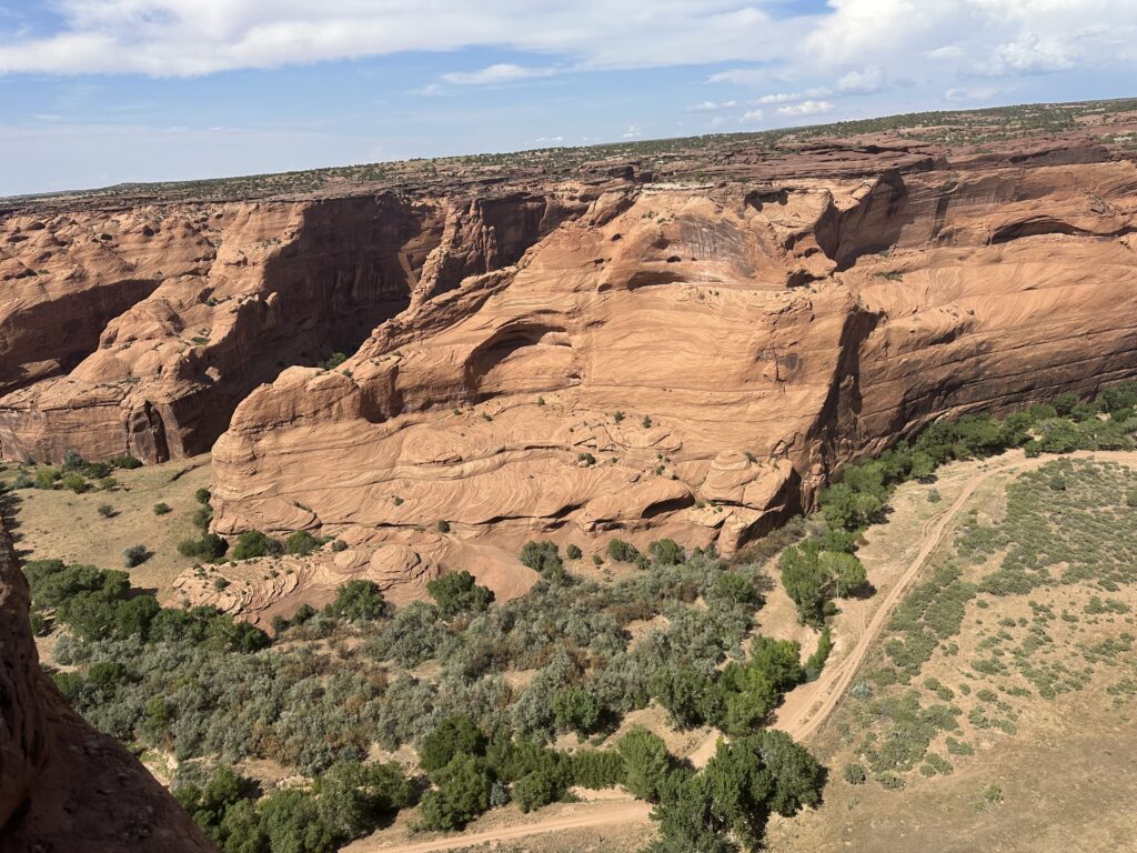 RISK MANAGEMENT TOOL